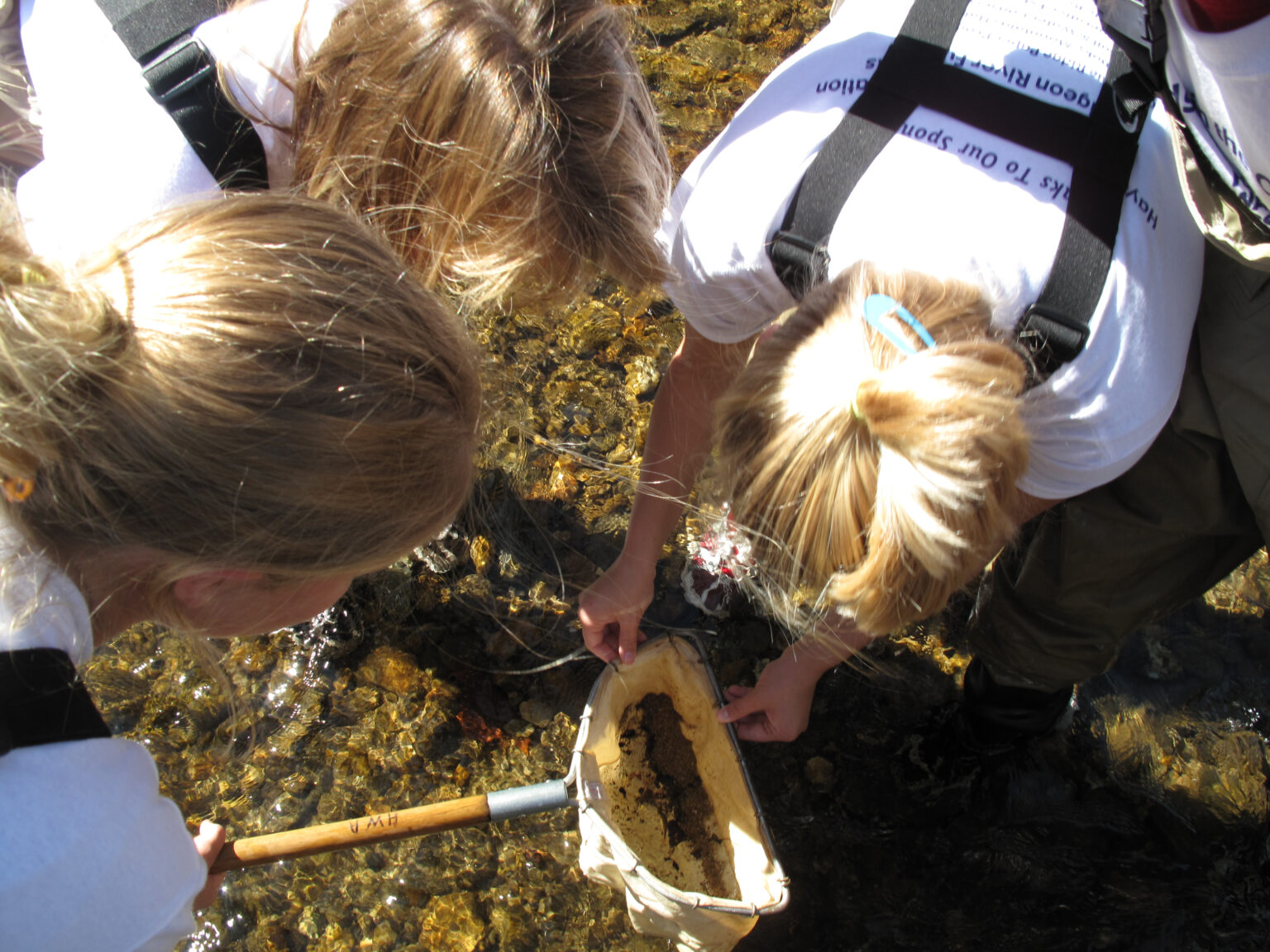 French Broad River Partnership