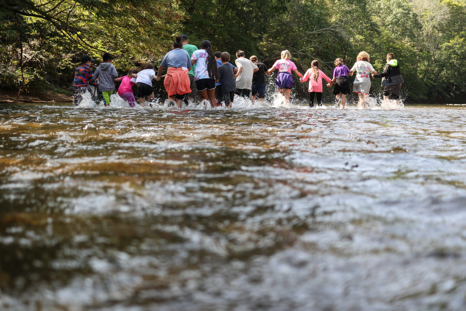 Directory – French Broad River Partnership