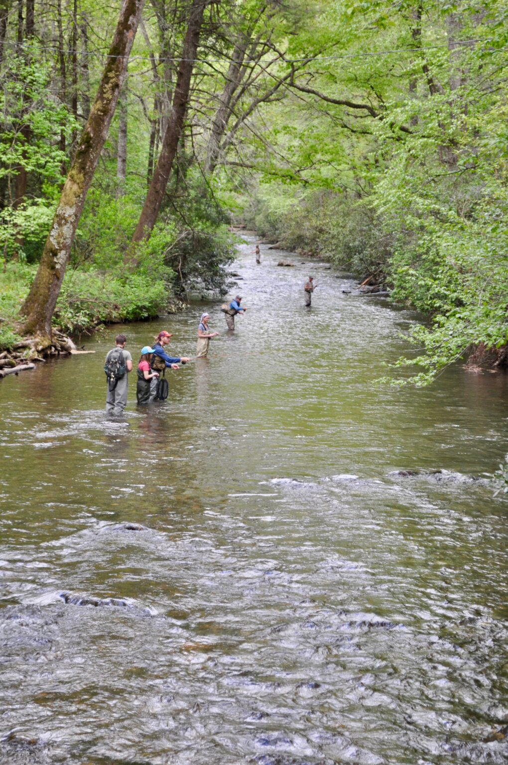 Water Quality Work Group – French Broad River Partnership